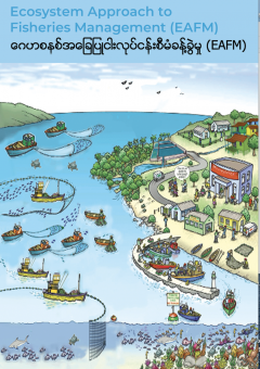 လေ့လာစရာသင်တန်းစာအုပ်များ | FishAdapt Project